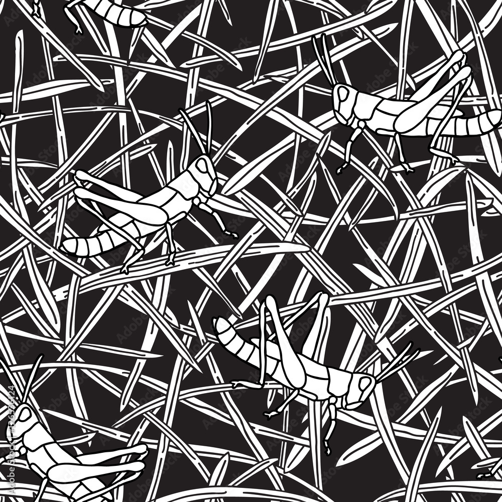 Grasshopper - Seamless Pattern. Hand drawn seamlessly repeating vector ...