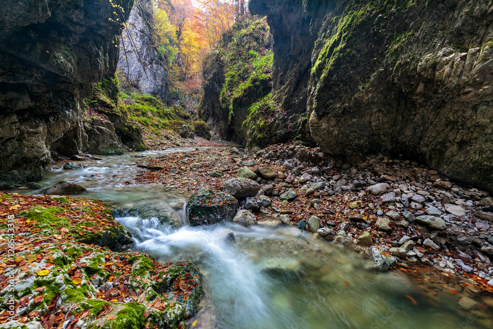 River in limestone canyon Stock Photo | Adobe Stock