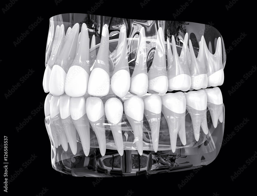 3D Isolated X-Ray Teeth. Tooths Dentistry Care Concept. Stock ...