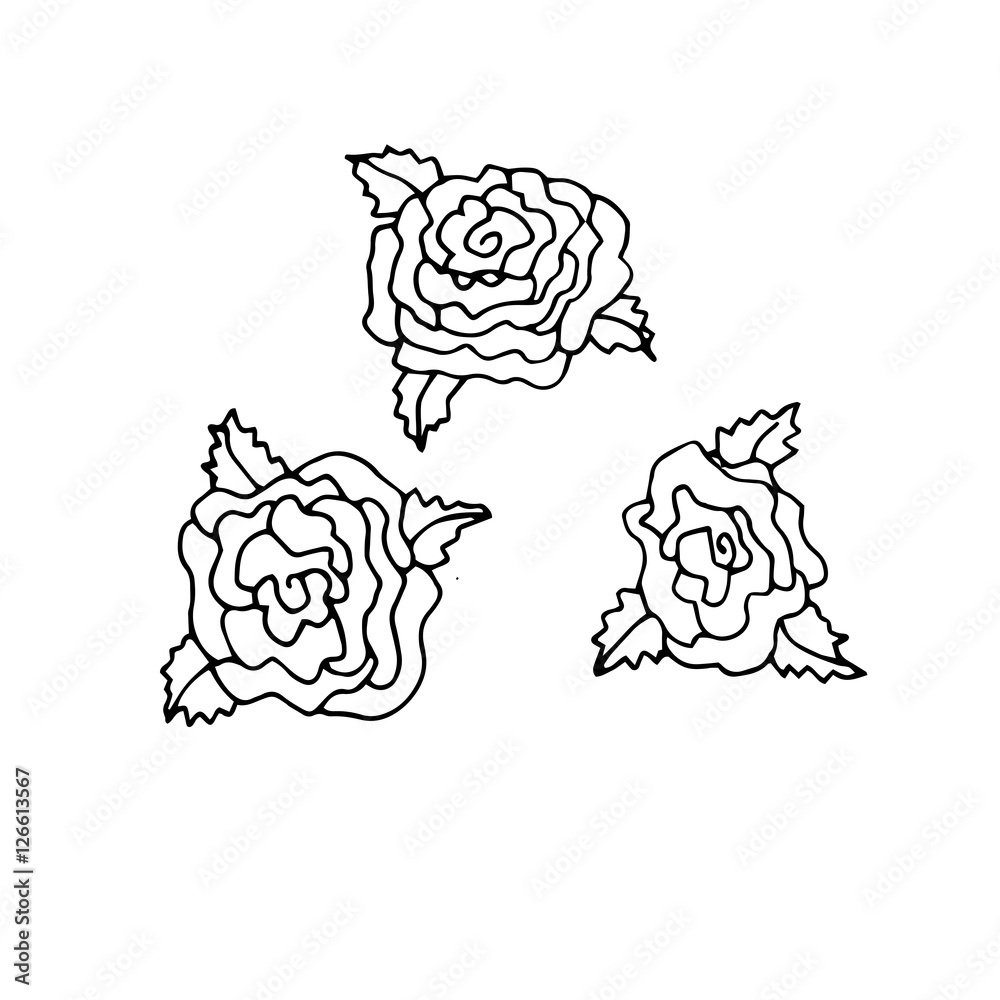 Traditional Rose Drawing Outline