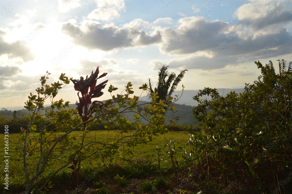 Poster Paisagem rural – Wall Art | UkPosters