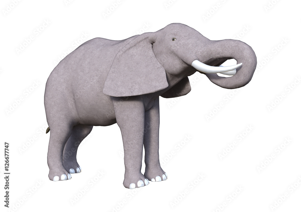 3D Rendering Elephant on White Stock Illustration | Adobe Stock