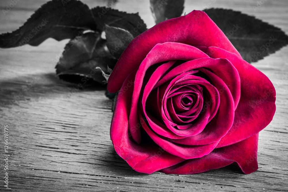 Red Rose Color Splash on Wood Stock Photo | Adobe Stock