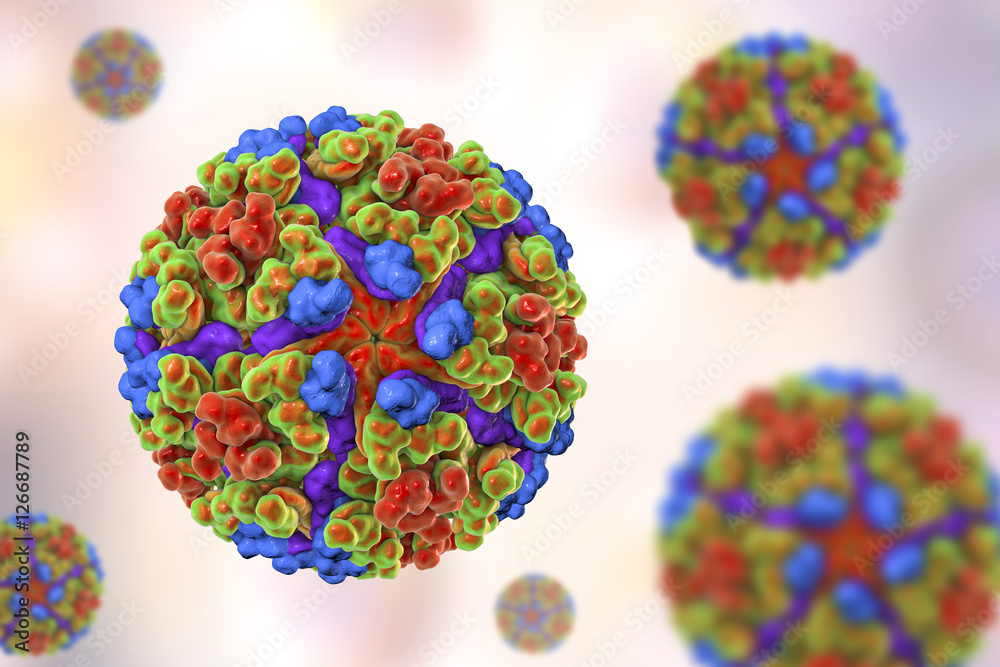 Chikungunya virus, 3D illustration. Emerging mosquito-borne RNA virus ...