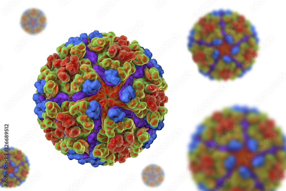 Chikungunya virus isolated on white background, 3D illustration ...