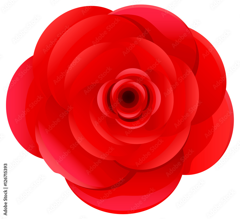 Red rose flower top view vector image Stock Vector | Adobe Stock