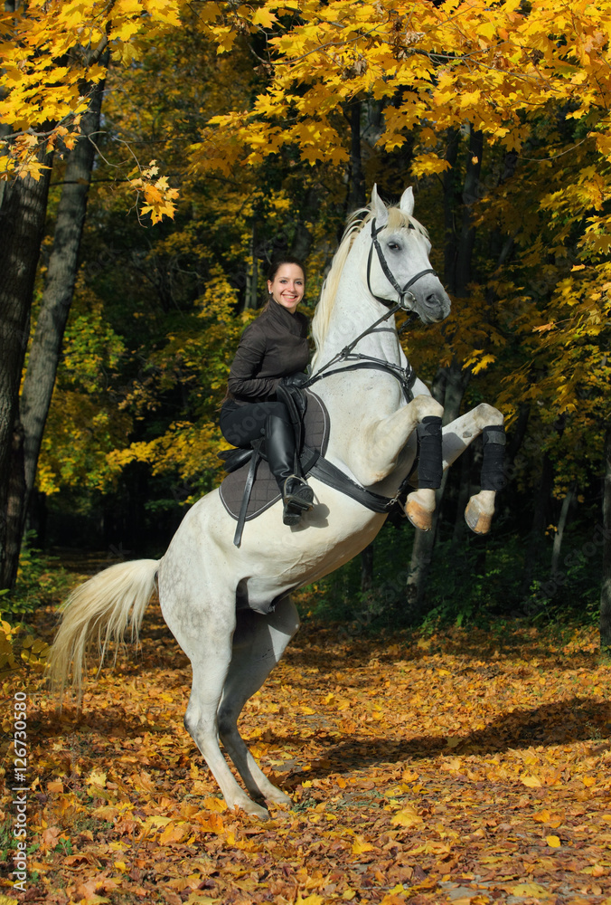 White Horse Rearing With Rider