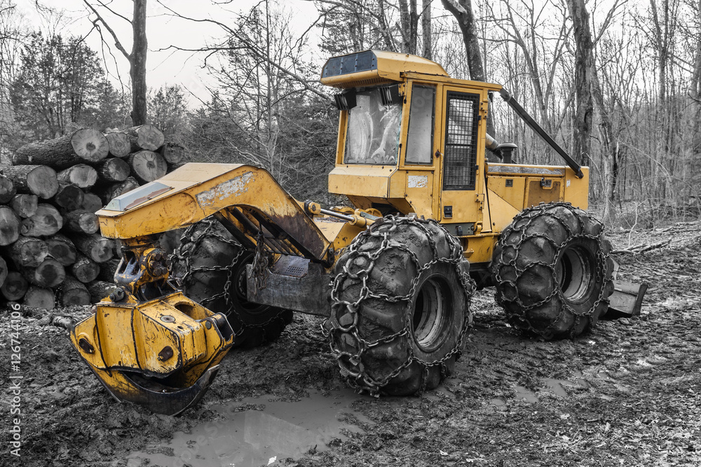 Logging machine - Yellow Skid steer Stock Photo | Adobe Stock