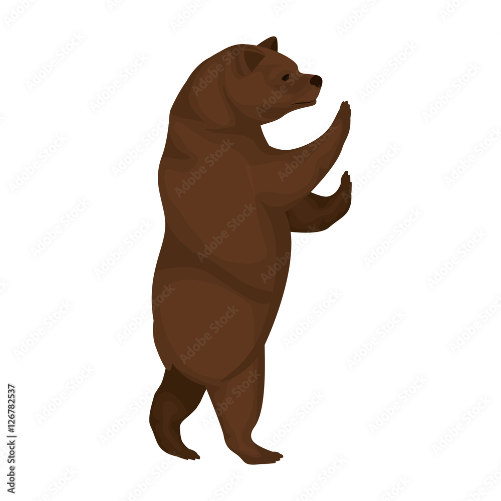 color image with bear of standing vector illustration Stock Vector ...