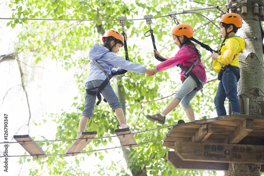 Children playing on monkey bridge in tree top adventure park Stock ...