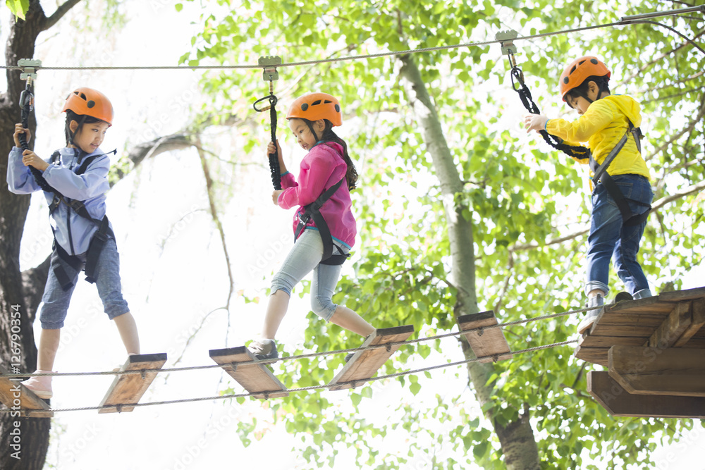 Happy children playing in tree top adventure park Stock Photo | Adobe Stock