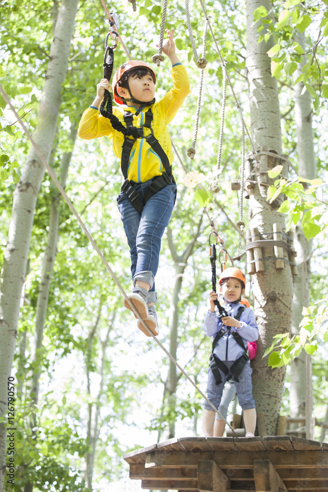 Happy children playing in tree top adventure park Stock Photo | Adobe Stock