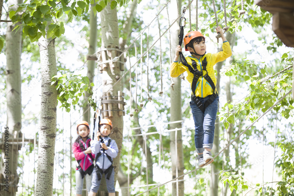 Happy children playing in tree top adventure park Stock Photo | Adobe Stock
