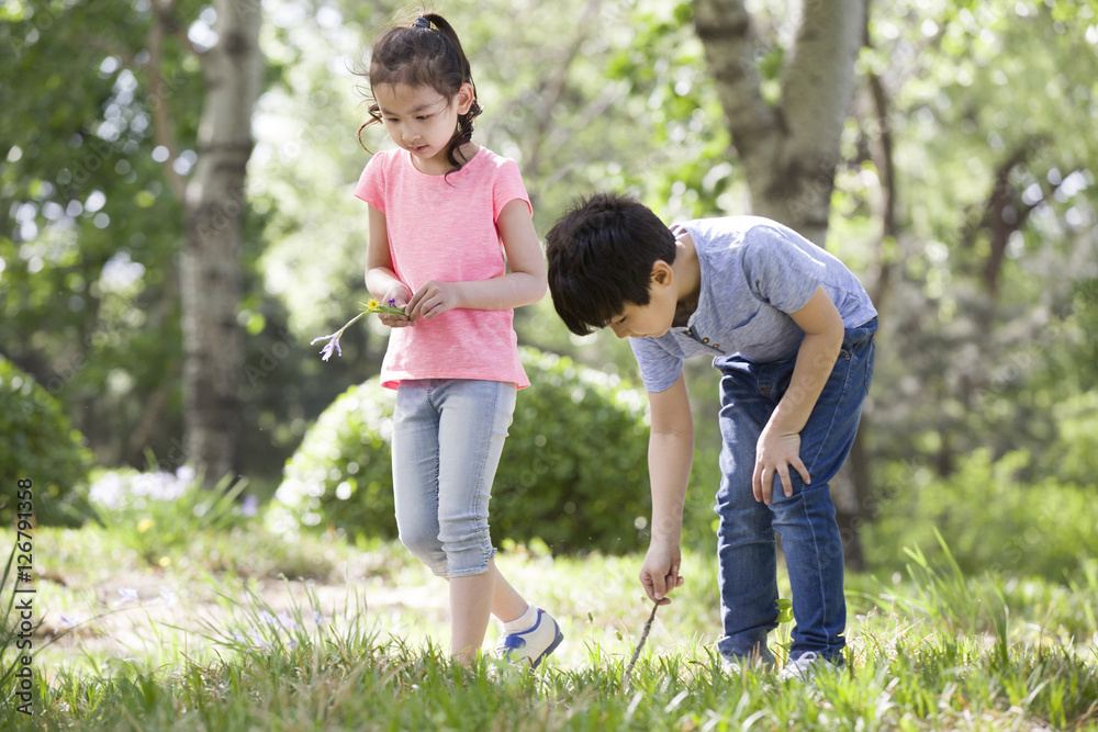 Happy children playing in woods Stock Photo | Adobe Stock