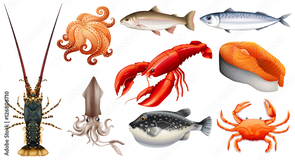 Different types of seafood Stock Vector | Adobe Stock