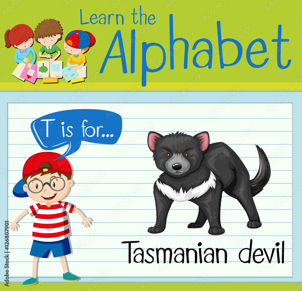 Flashcard letter T is for tasmanian devil Stock Vector | Adobe Stock