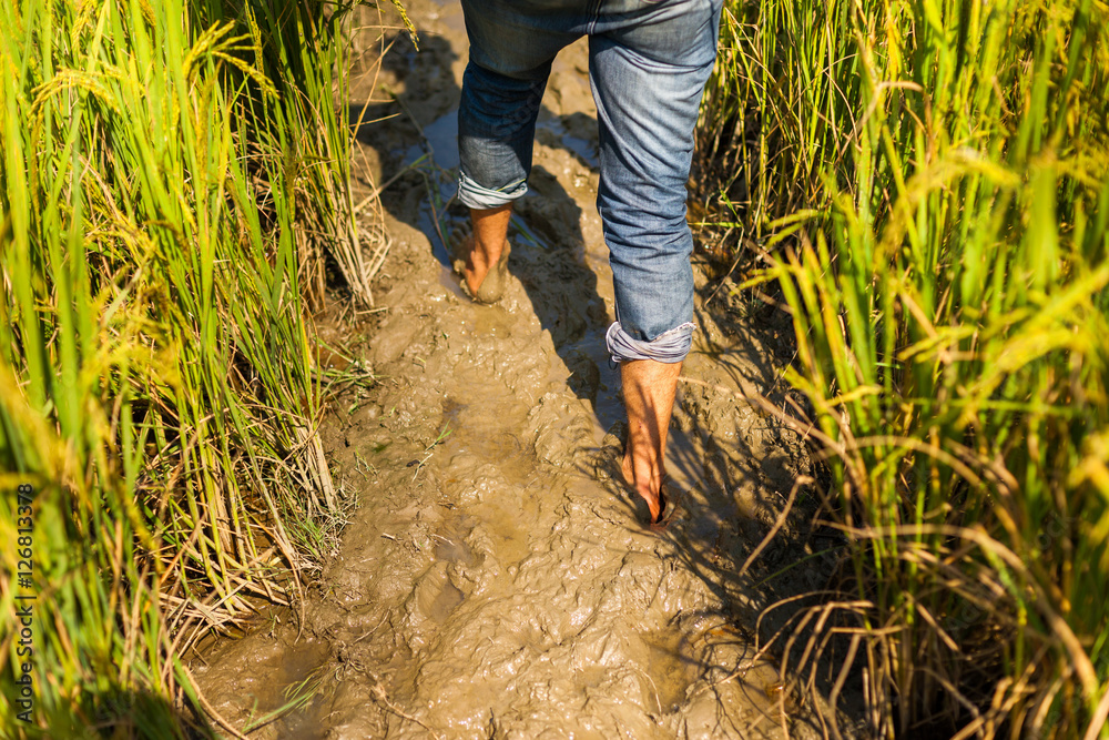 Walking through mud Stock Photo | Adobe Stock