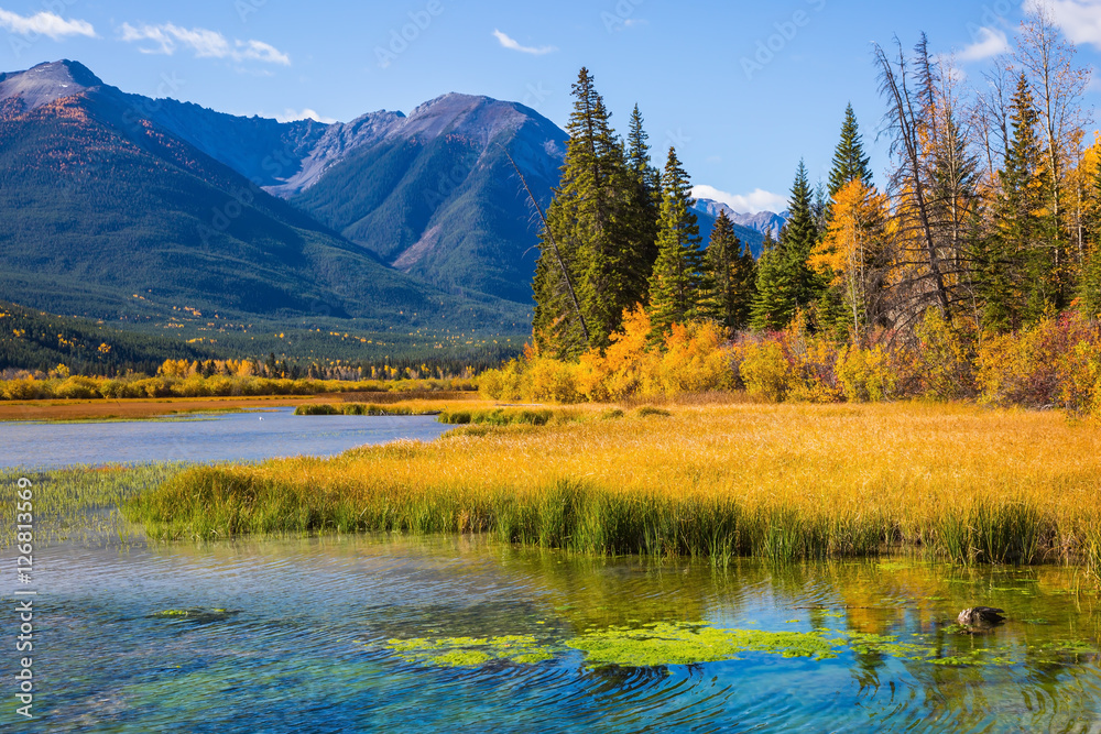 Sunset in clear sunny day Stock Photo | Adobe Stock
