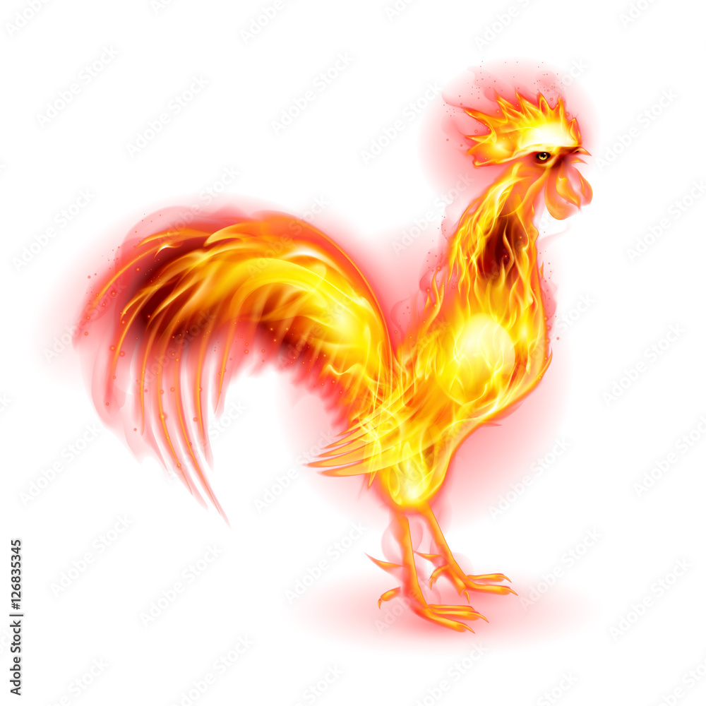 Fire Rooster Stock Vector | Adobe Stock