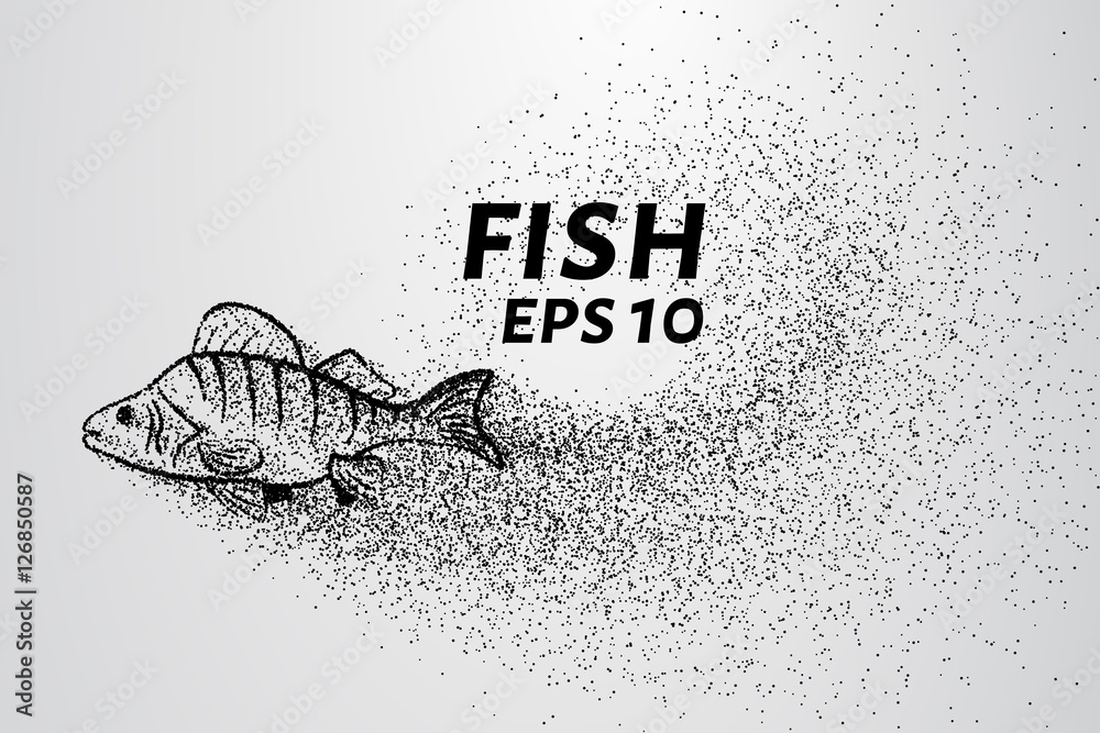 Fish from the particles. Fish consists of small circles and dots. Stock ...