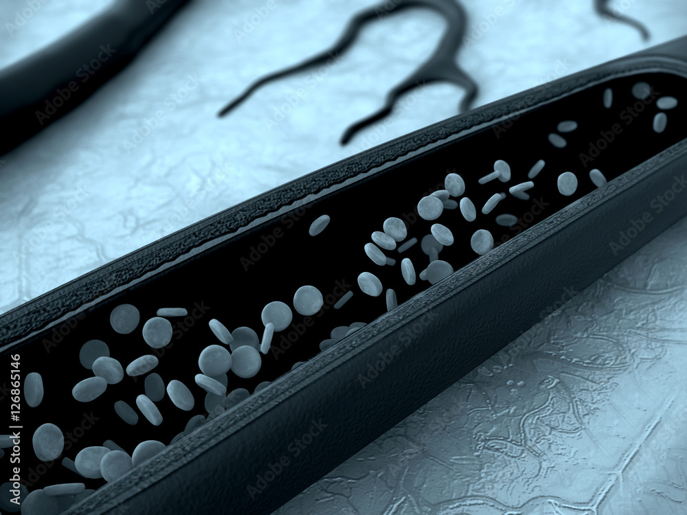 artery shown with a cut out section, High quality rendering with ...