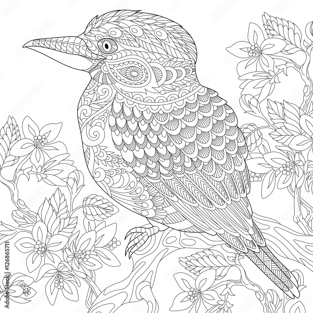 Kookaburra Coloring Page