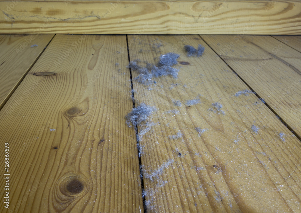 Dust dirt and crumbles on the wood floor under the bed. Home dust on ...
