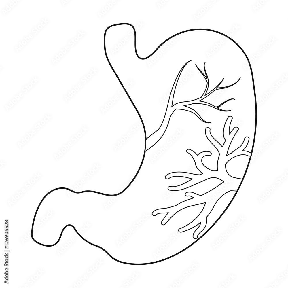 Stomach icon in outline style isolated on white background. Organs ...