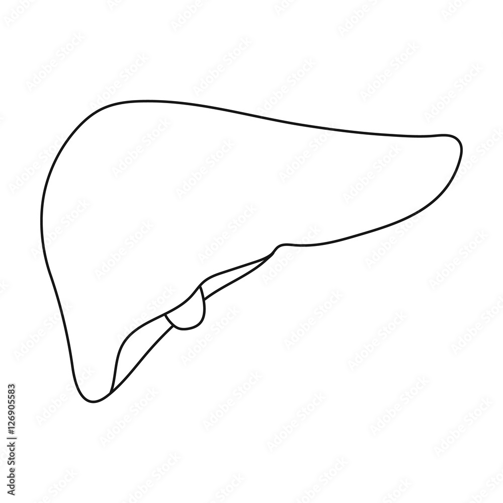 Liver icon in outline style isolated on white background. Organs symbol ...