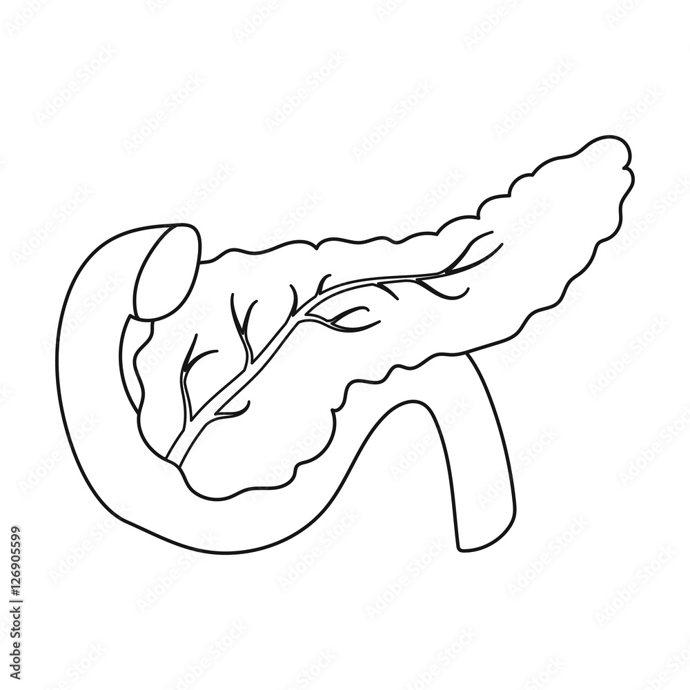 Pancreas icon in outline style isolated on white background. Organs ...