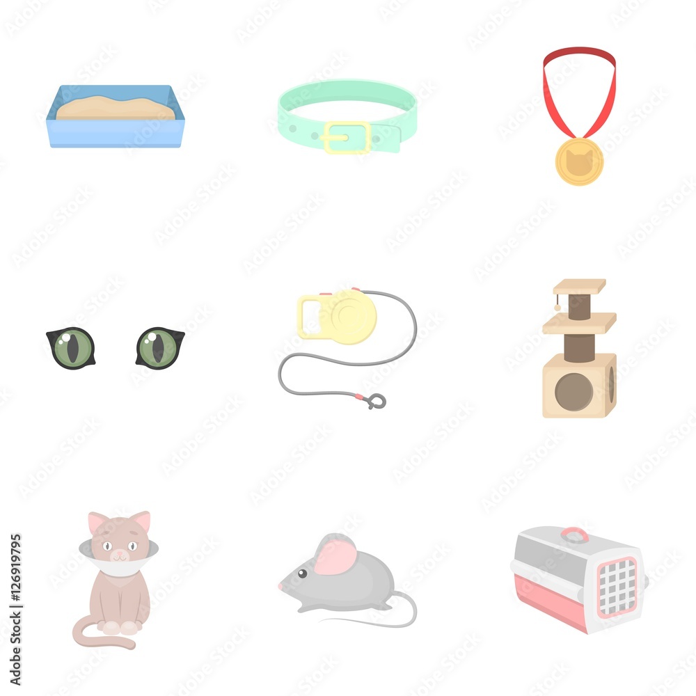 Cat equipment set icons in cartoon style. Big collection of cat ...