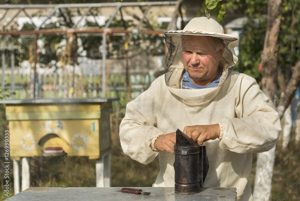Beekeeper is working with bees and beehives on the apiary. Stock Photo ...