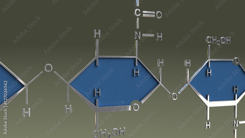 Chitin Structure Stock Illustration | Adobe Stock
