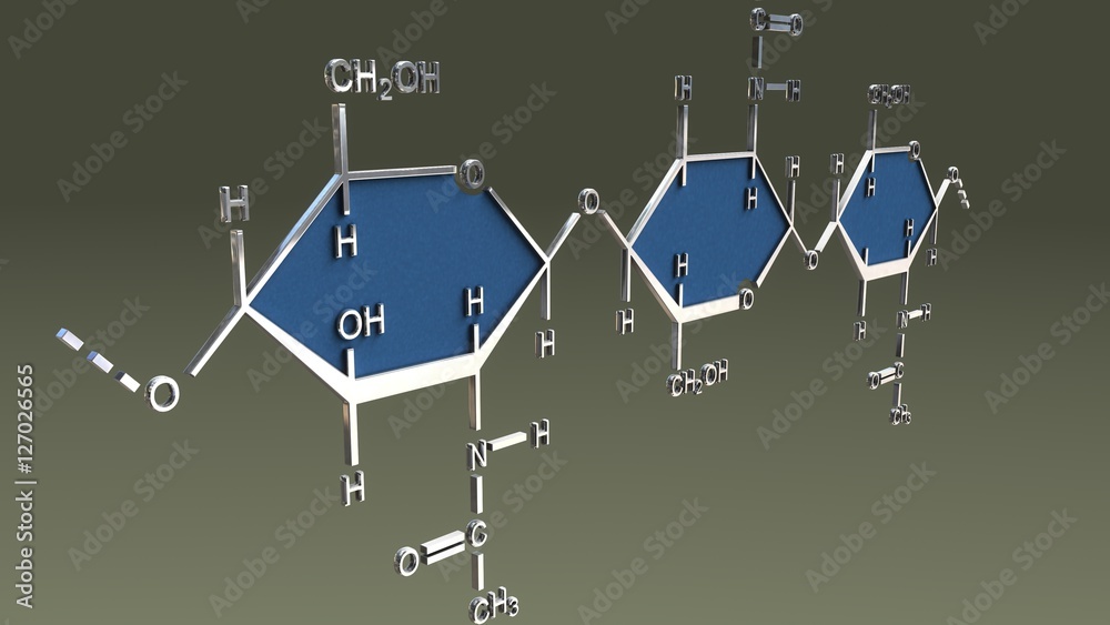 Chitin Structure Stock Illustration | Adobe Stock