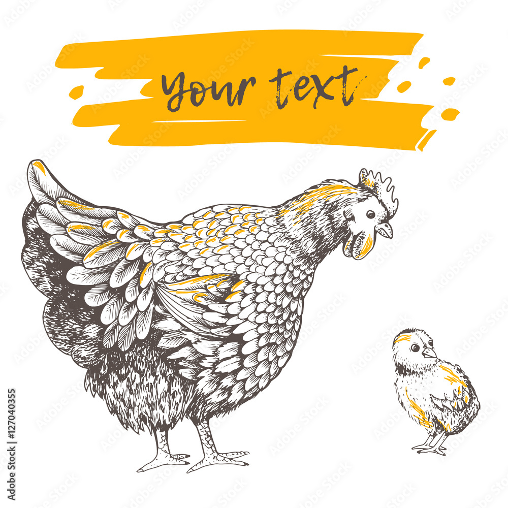 Illustration little chicken and hen. Series of farm animals. Graphics ...