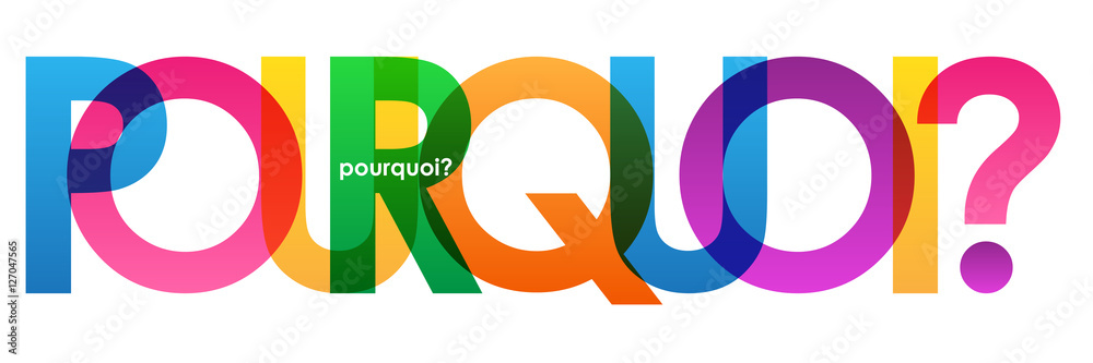Icône POURQUOI? Stock Vector | Adobe Stock