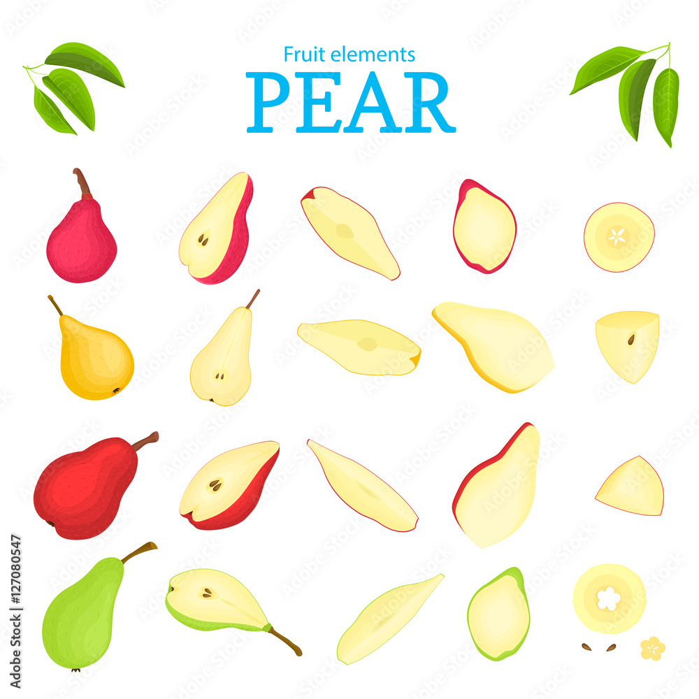 Vector set of different colors fruits. Pear fruit, whole, peeled, piece ...