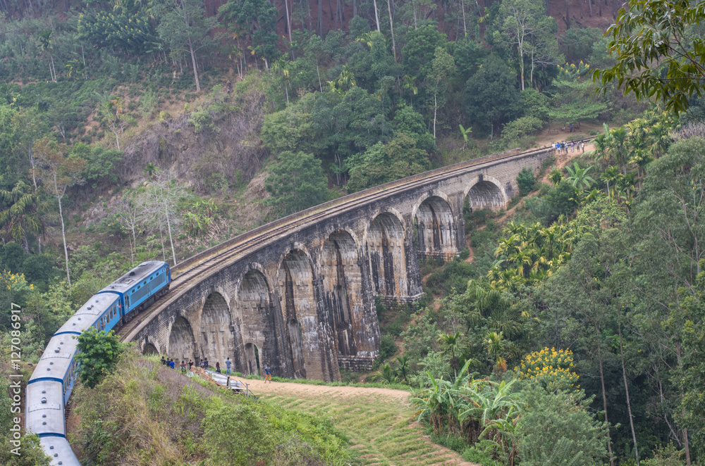 Train on the Nine Arch Bridge in Sri Lanka Stock Photo | Adobe Stock