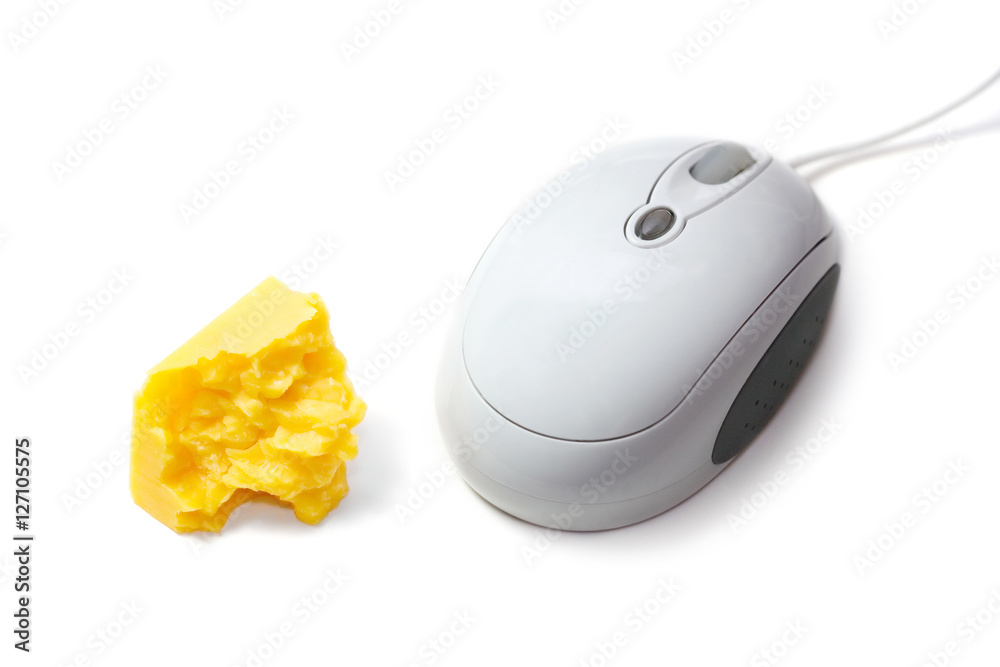 Computer Mouse and Cheddar Cheese – Cliche of mouse and cheese. White ...