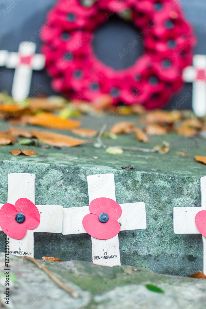 Remembrance Day Poppy Stock Photo | Adobe Stock