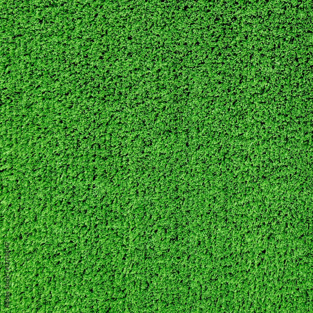 Green grass background. Stock Photo | Adobe Stock