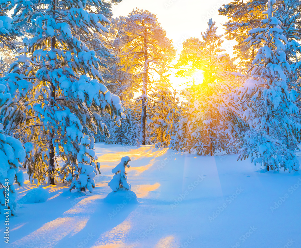 Pretty Colorful Winter Pictures