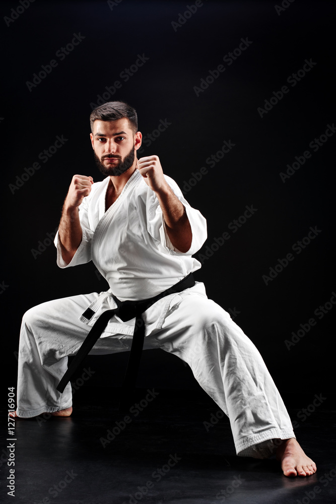 Karate Fighting Stance