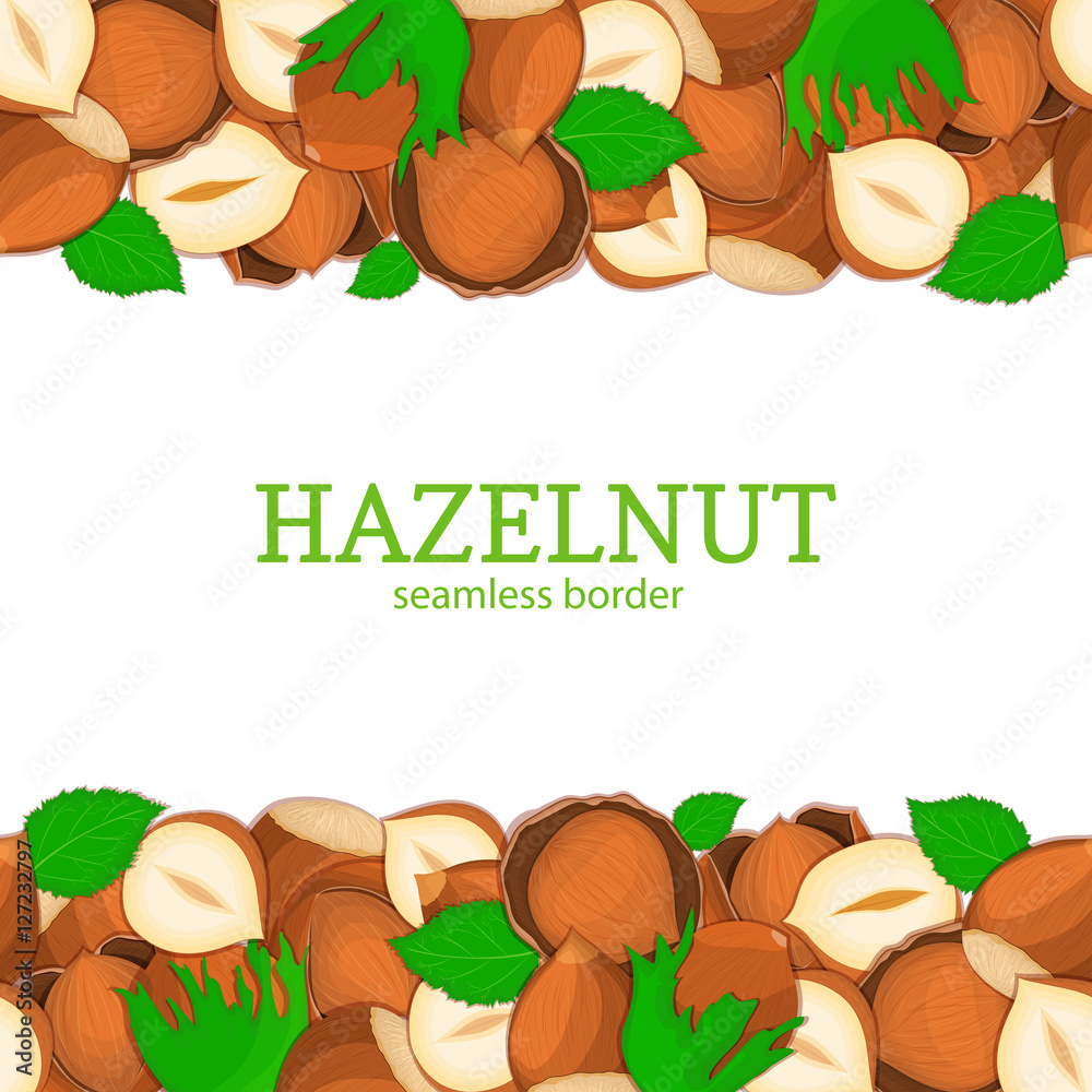 Pecan Horizontal seamless border. Vector illustration card top and ...