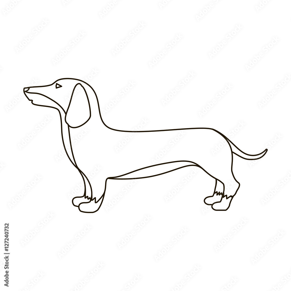 Dachshund icon in outline style isolated on white background. Dog ...