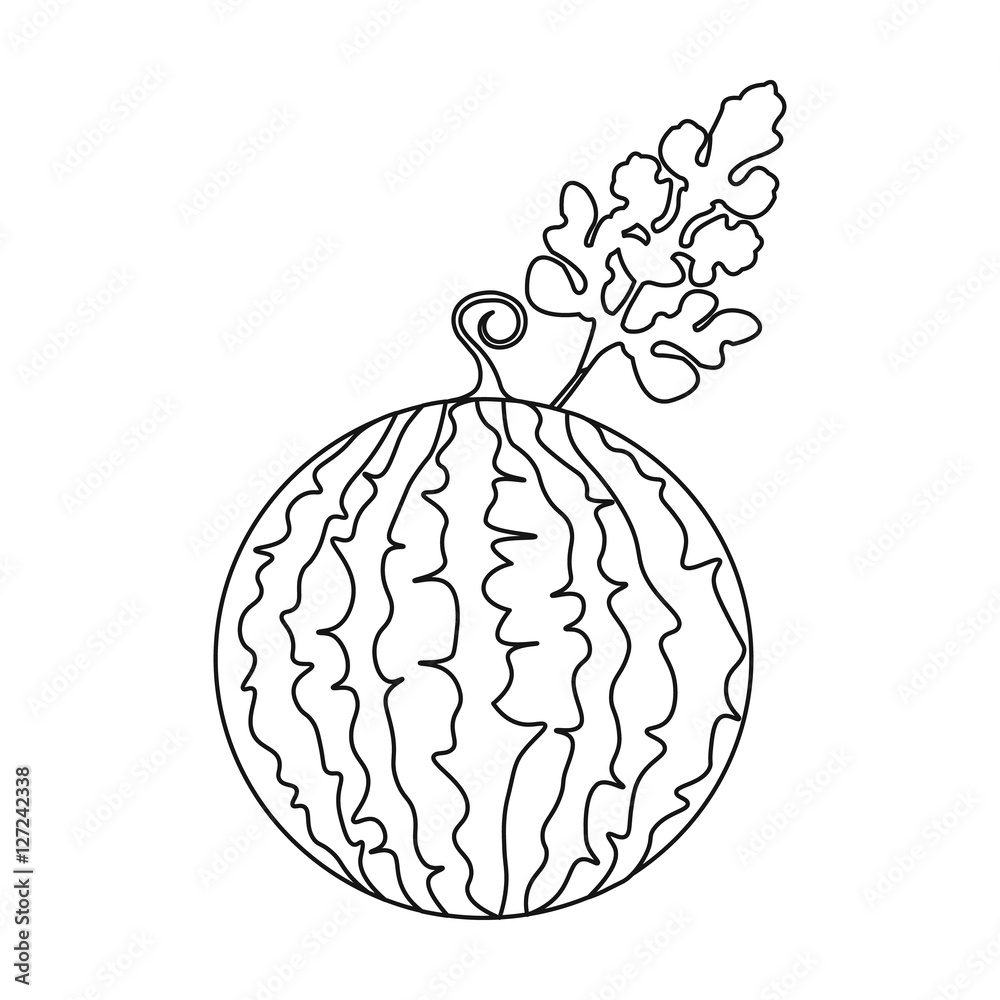 Watermelon icon in outline style isolated on white background. Plant ...