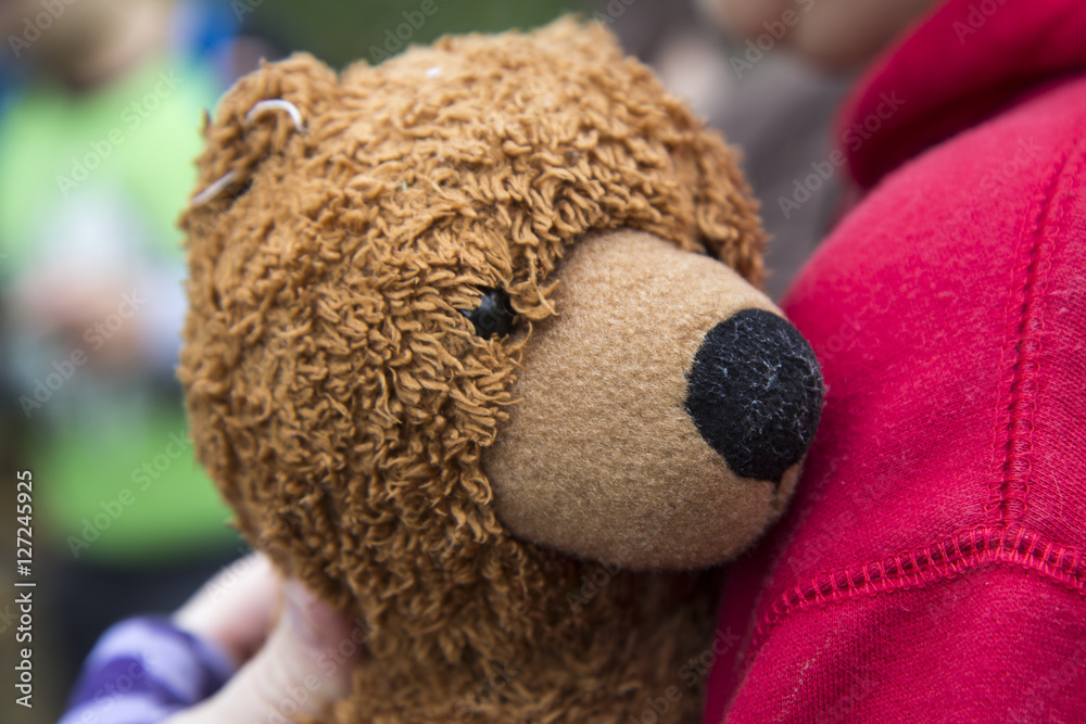 Brown fuzzy teddy bear being hugged. Stock Photo | Adobe Stock
