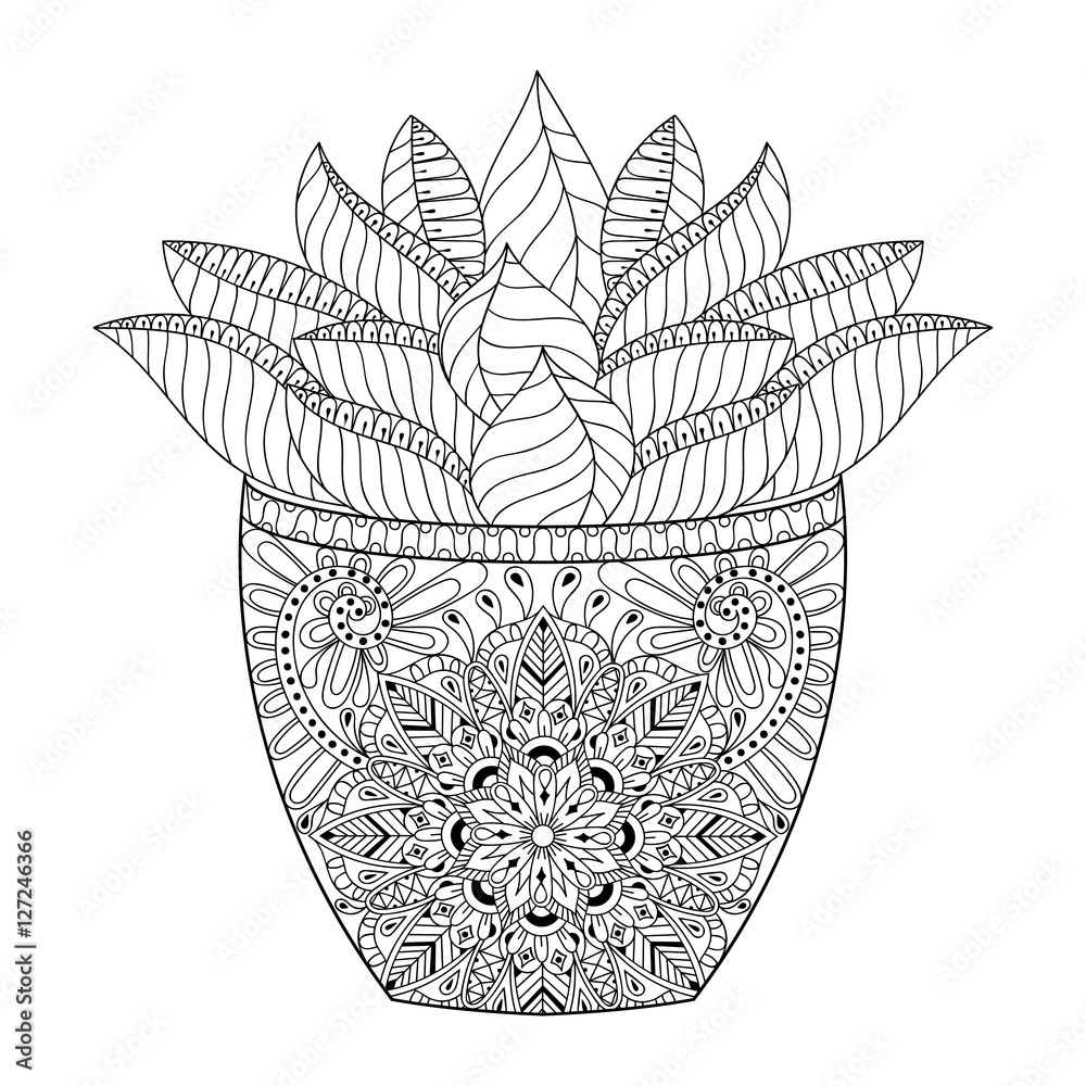 Zentangle Succulent, Cactus vector illustration. Hand drawn outl Stock ...