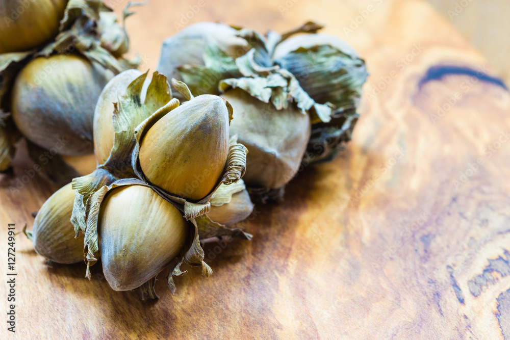 Hazelnuts cluster filbert nuts in the hard shell. foto de Stock | Adobe ...