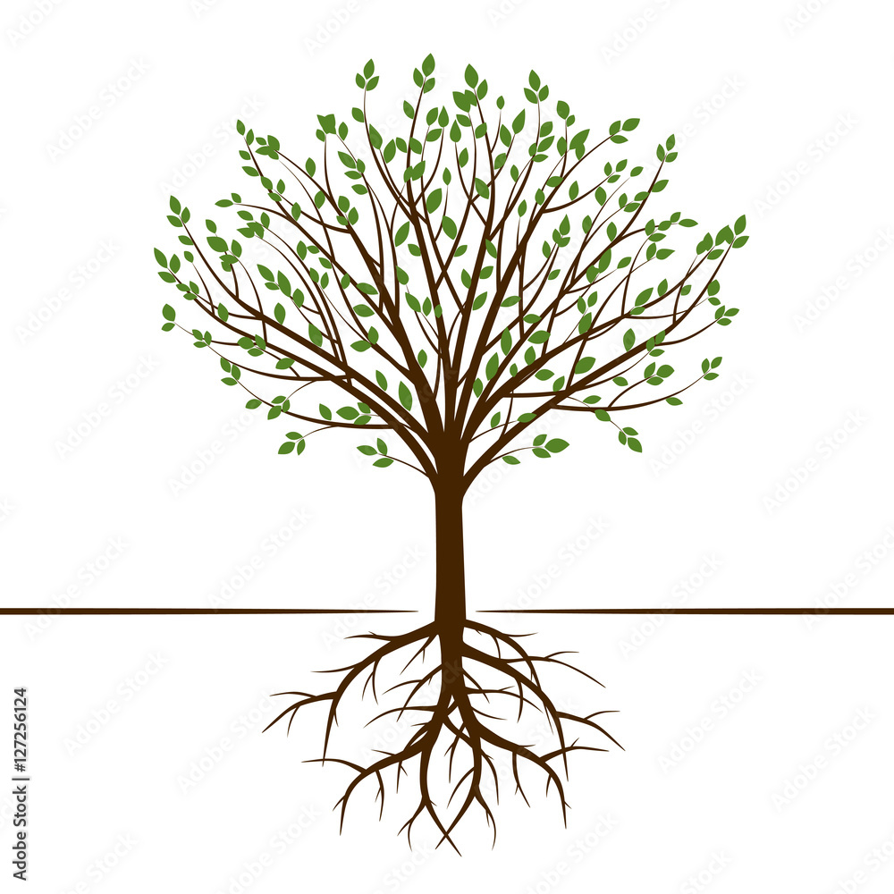 Shape of Tree and Roots. Vector Illustration. Stock Vector | Adobe Stock